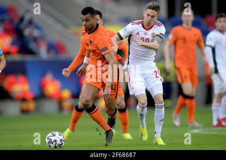 SZEKESFEHERVAR, UNGARN - 30. MÄRZ: Cody Gakpo aus den Niederlanden U21 ...