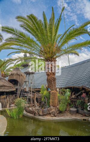 Joes Beerhouse Restaurant Bar und Pub, Windhoek, Namibia, Afrika ...