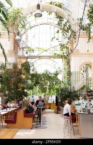 Cafe und Restaurant im Palmenhaus, Wien, Österreich Stockfotografie - Alamy