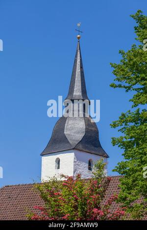 Kirche, Stemwede-Levern, Gemeinde Stemwede, Nordrhein-Westfalen ...