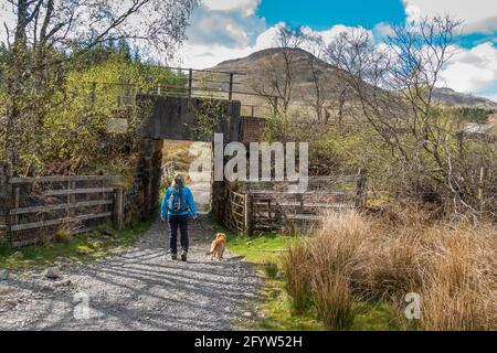 Ein Wanderer auf dem Weg nach Sron Garbh, einem Hügel auf dem Weg nach ...