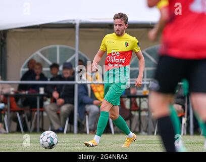 Oostendes Robbie D'Haese im Einsatz während eines Freundschaftsspiels ...