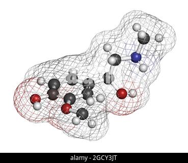 Metanephrin (Metadrenalin) Molekül. Metabolit von Adrenalin, der ...