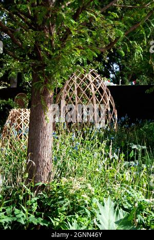 Guangzhou China: Guangzhou Garden, RHS Chelsea Flower Show September ...