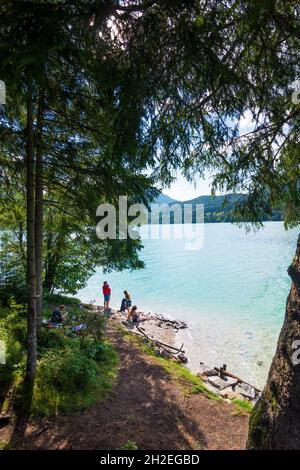 walchensee (walchensee), Strand, Sonnenbaden in oberbayern, bayern ...