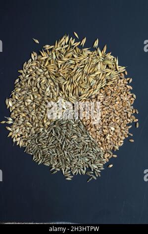 Sorten Getreide: Gerste (Hordeum Vulgare), Roggen (Secale Cereale ...