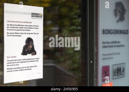 07. November 2021, Hessen, Frankfurt/Main: Besucher des Frankfurter ...