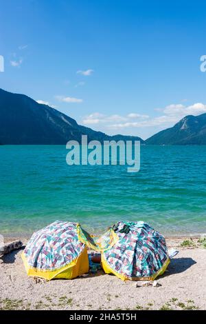 walchensee (walchensee), Strand, Sonnenbaden in oberbayern, bayern ...