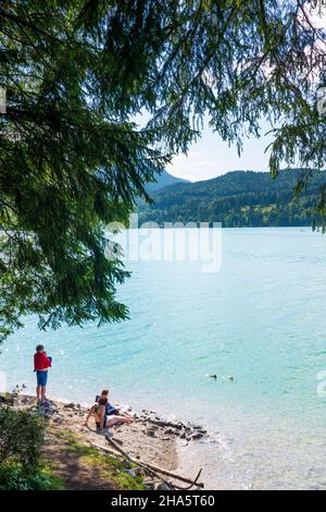 walchensee (walchensee), Strand, Sonnenbaden in oberbayern, bayern ...
