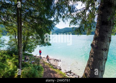 walchensee (walchensee), Strand, Sonnenbaden in oberbayern, bayern ...