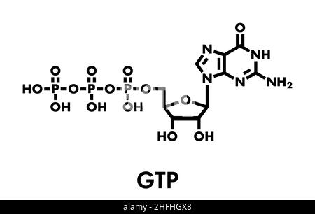 Guanosin Triphosphat (GTP) RNA-Baustein Molekül. Auch als Energie ...
