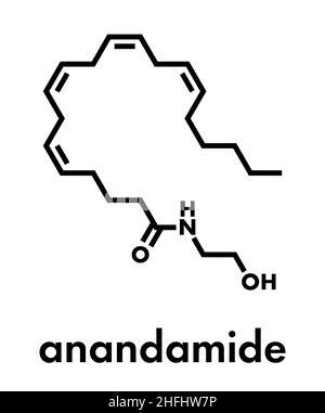 Anandamid endogenen Cannabinoid-Neurotransmitter-Molekül. Stilisierte ...