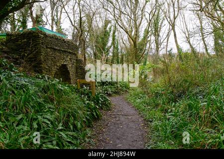 Bothenhampton, Bridport, Dorset, Großbritannien. 27th. Januar 2022 ...
