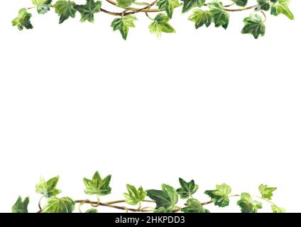 Efeu Zweig mit grünen Blättern Rahmen , handgezeichnete Aquarell ...