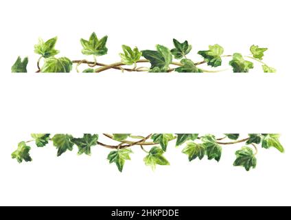 Efeu Zweig mit grünen Blättern Rahmen , handgezeichnete Aquarell ...
