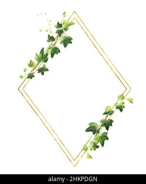 Efeu Zweig mit grünen Blättern Rahmen , handgezeichnete Aquarell ...
