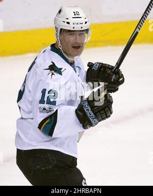 San Jose Sharks left wing Lynn Loyns, second from right, is ...