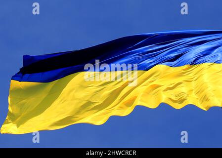 Gelb Blaue Flagge