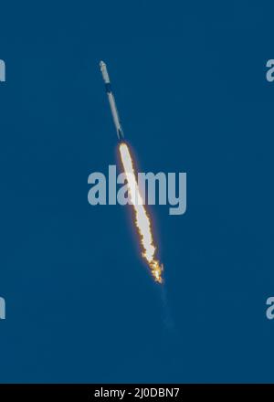 Die SpaceX Falcon 9-Rakete mit der Dragon-Nachschub-Kapsel hebt vom ...