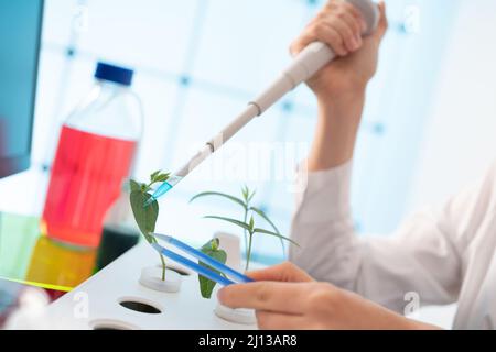 Mädchen Laborassistentin mit einer Pipette Herbizid und Pestizid auf einem Blatt eines grünen ...