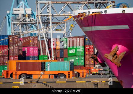 Selbstfahrende, automatisierte Containertransporter bringen die ...