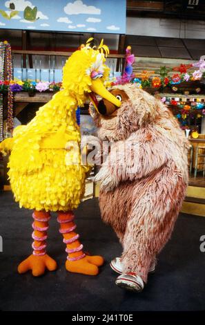 Sesamstraße, deutsche Ausgabe, Deutschland 1980, Charakter: Samson und ...