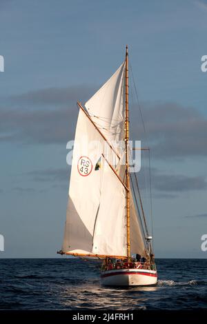 Die schwedische Ketschketsche Adistan Finne beim Start des 2011 ...