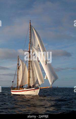 Die schwedische Ketschketsche Adistan Finne beim Start des 2011 ...