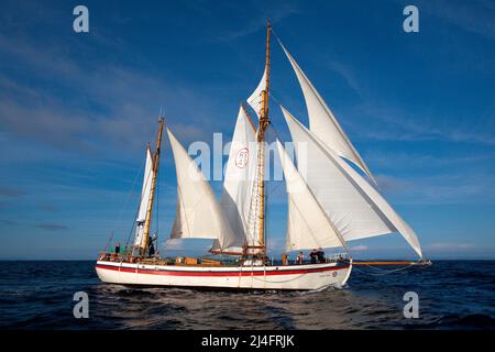 Die schwedische Ketschketsche Adistan Finne beim Start des 2011 ...