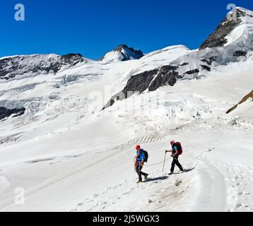 Alpinisten am Seil über den Jungfraufirngletscher auf dem Weg zum ...