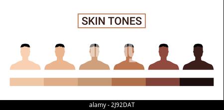 Farbskala für Hauttöne. Brown Palette Vektor menschliche Haut ...