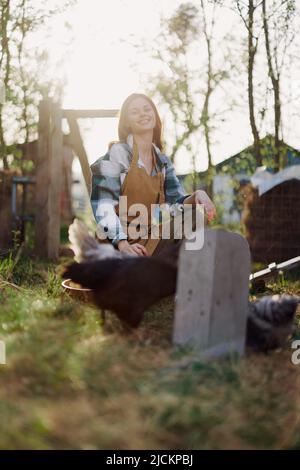 Eine Frau sitzt im Vogelfutterstall und füttert die Hühner an einem ...