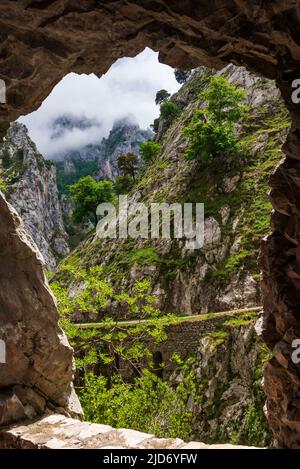 Die Schlucht Rio Cares im Nationalpark Los Picos de Europa. Der ...