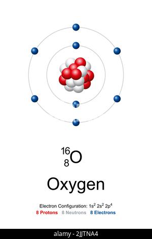 Sauerstoff Atom Bohr Modell mit den Protonen, Neutronen und Elektronen ...