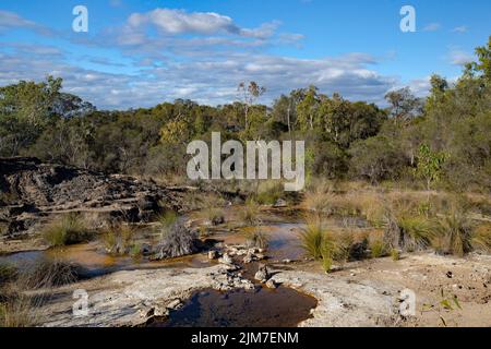 Talaroo Hot Springs produzieren Wasser bei etwa 60 Grad Celsius, das in ...