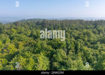 France, Oise, Picardie, Compiegne, The Foret de Compiegne, Compiegne ...