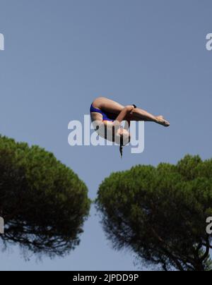 Tauchen - Schwimmeuropameisterschaften - Stadio Del Nuoto, Rom, Italien ...