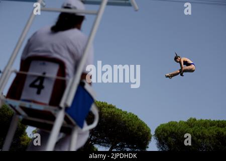 Tauchen - Schwimmeuropameisterschaften - Stadio Del Nuoto, Rom, Italien ...