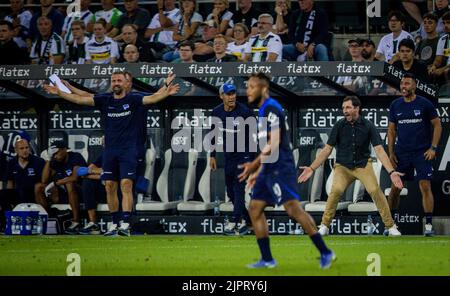 Trainer Sandro Schwarz (Hertha) Borussia Mönchengladbach - Hertha BSC ...