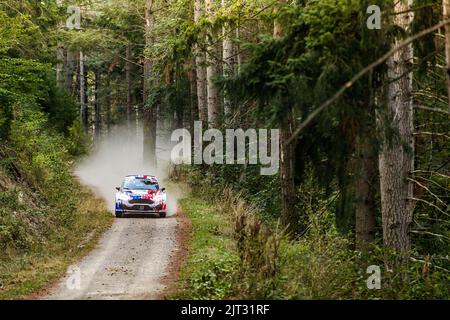 02 TODESSCHINI Florent, BARRAL Florian, Ford Fiesta Rally2, Aktion ...