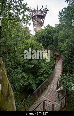 Ivenack, Deutschland. 27. August 2022. Die Besucher des Ivenack Zoos ...