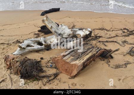Holz- und Kunststoffabfall ist aufgrund der rauen Meere im indischen ...