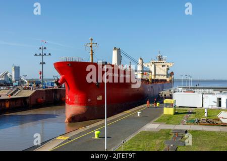 Schüttgutfrachter Federal Shimanto tritt in das Schleusensystem des Nord-Ostsee-Kanals ein ...