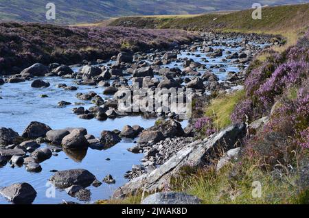 Callater Burn in Glen Callater, einem Ort von besonderem ...