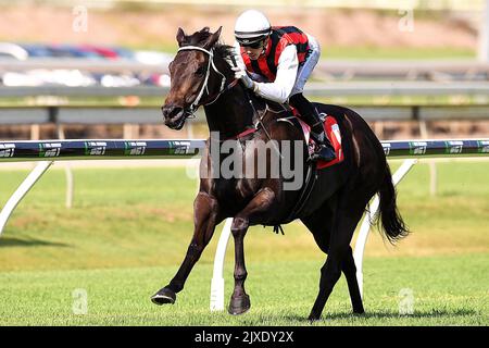 Jockey Jag Guthmann-Chester Rides sieht aus wie Elvis zum Sieg im ...