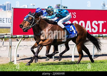 Jockey Ryan Plumb fährt Sugar Sizzle (rechts) zum Sieg im Rennen 2, dem ...