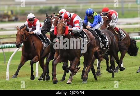 Der Jockey Ryan Wiggins (Mitte) fährt während des CEQ Charity Raceday ...