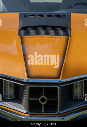 GROSSE POINTE SHORES, MI/USA - 16. JUNI 2024: Nahaufnahme einer Pontiac ...