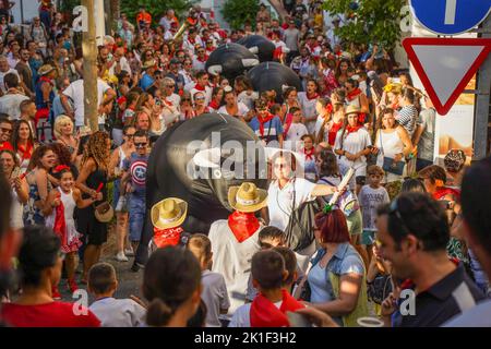 Tierfreundlicher Betrieb der Bullen, mit aufblasbaren Bullen, in der ...