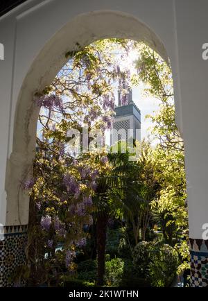 Innenhof der Großen Moschee von Paris, eine der größten Moscheen in ...